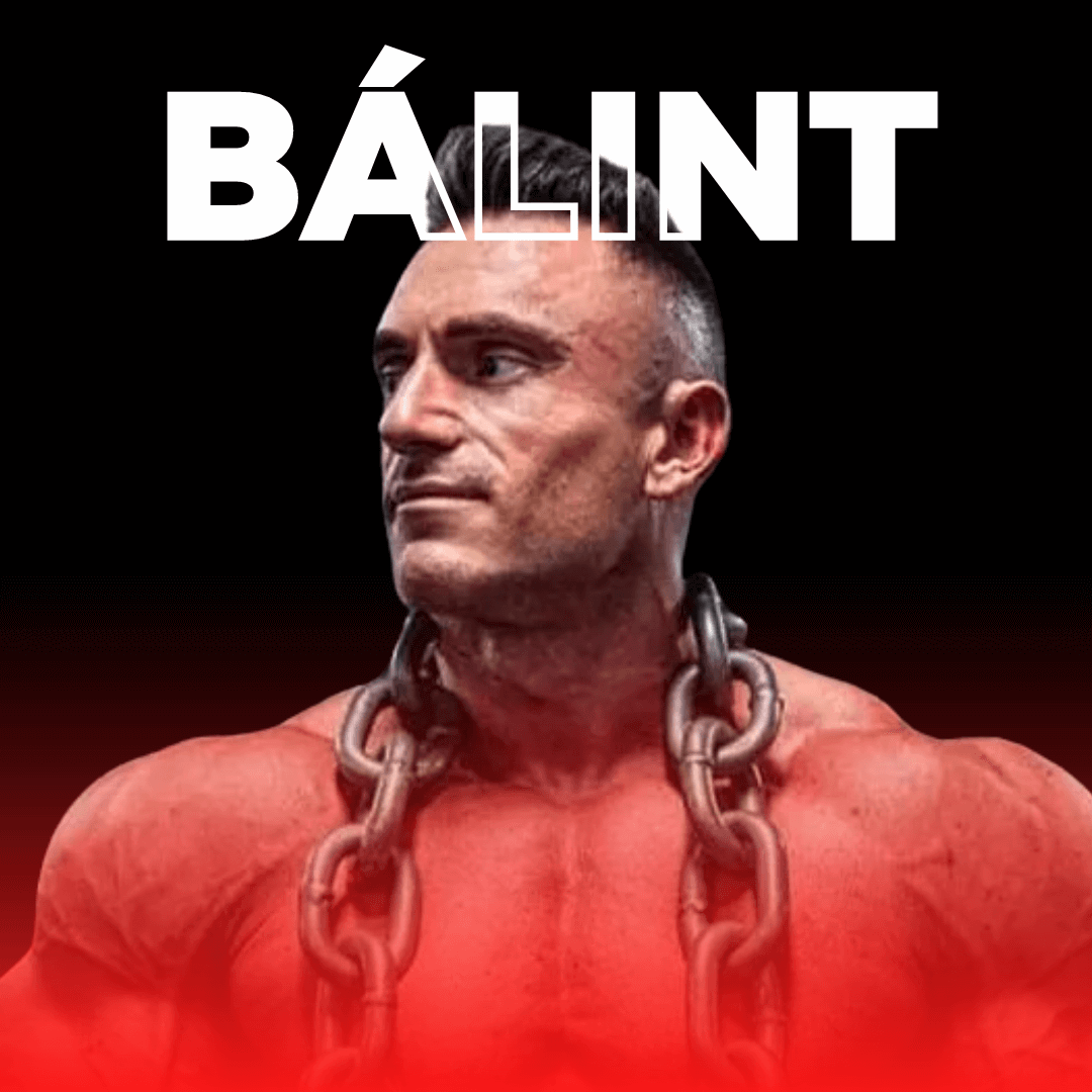 Cutler Gödöllő – Cutler Gödöllő